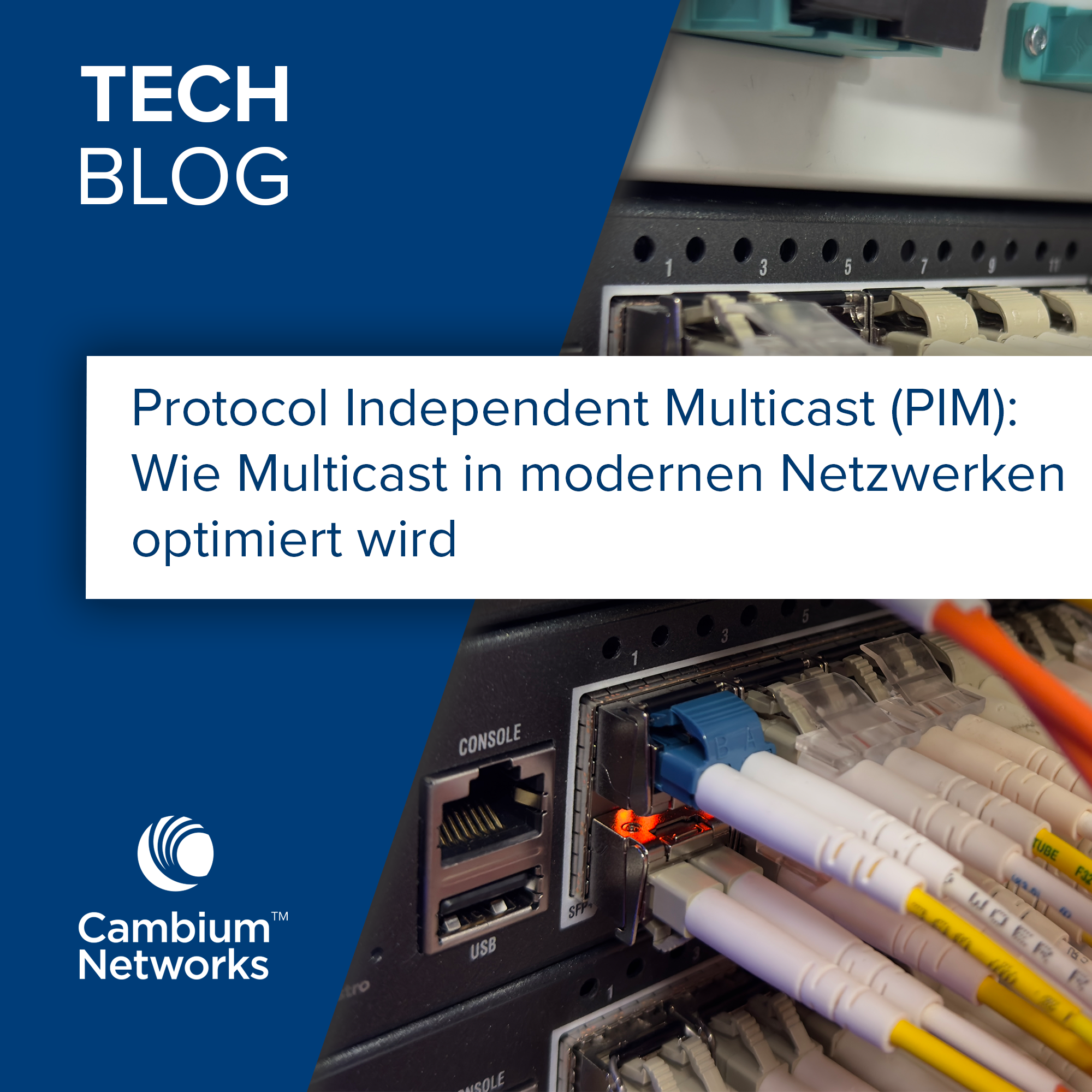 🚀 Multicast effizienter denn je – dank PIM-SM & cnMatrix 6.1-r3! 🔥